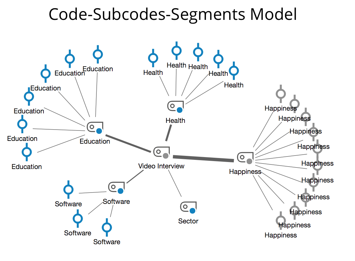 Code Subcodes Segments Model Maxqda